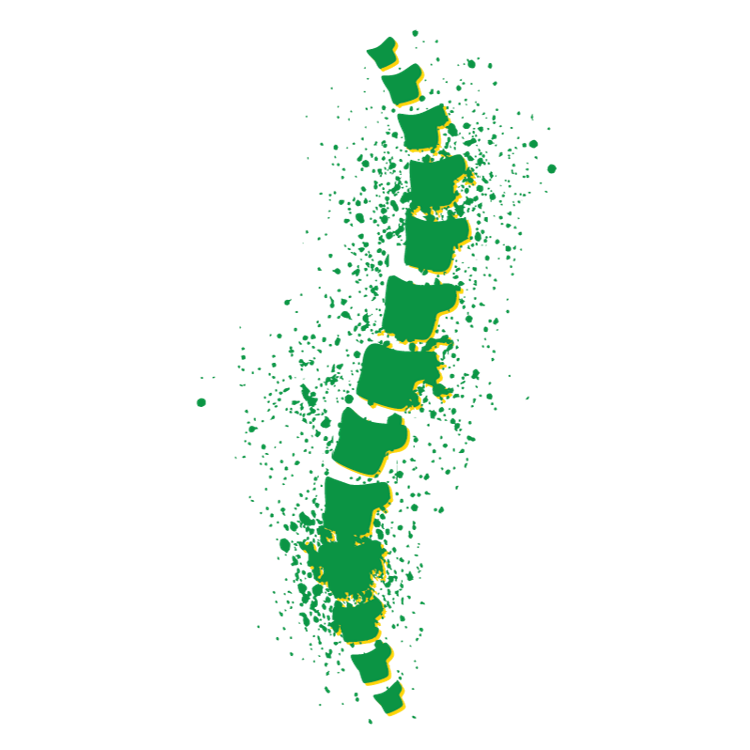 Spine (square) - Mason Mill Chiropractic